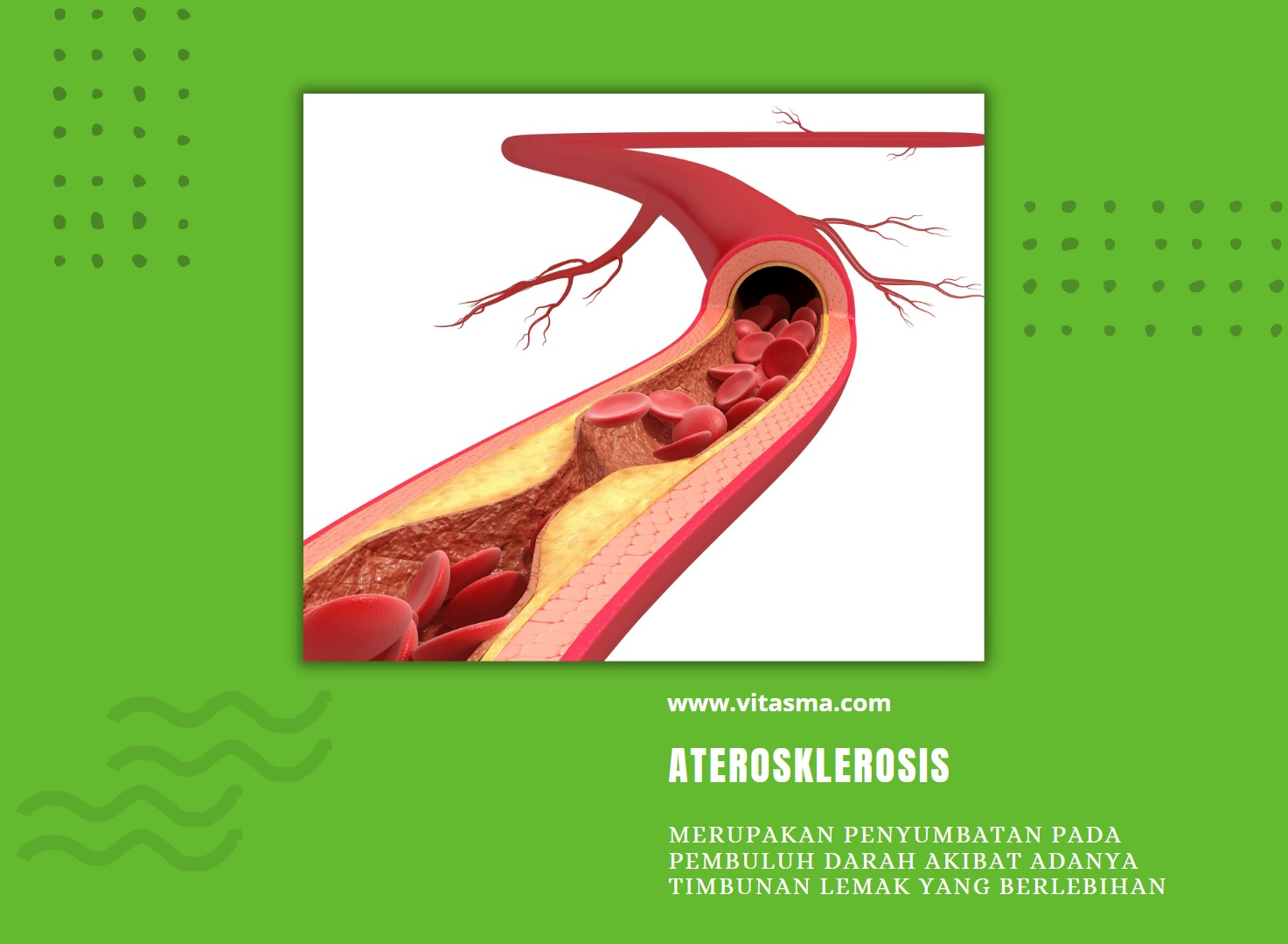 3+ Fakta Unik Sistem Kardiovaskular, Penting!